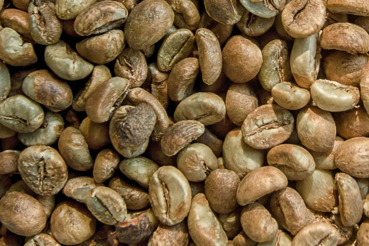 Exploration of Best Growing Practices for Arabica Coffee - 100% ESPRESSO